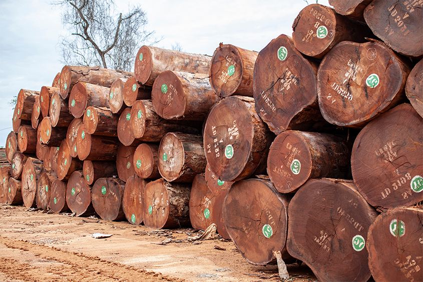 Values of the company - FelixWood - Wood for Generations