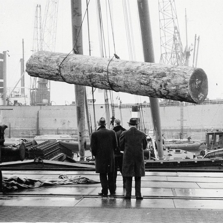 FelixWood - Sustainable Wood for Generations